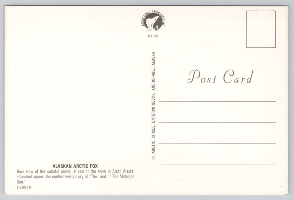 Alaskan Arctic Fox Resting in the Snow, Vintage Postcard | eBay