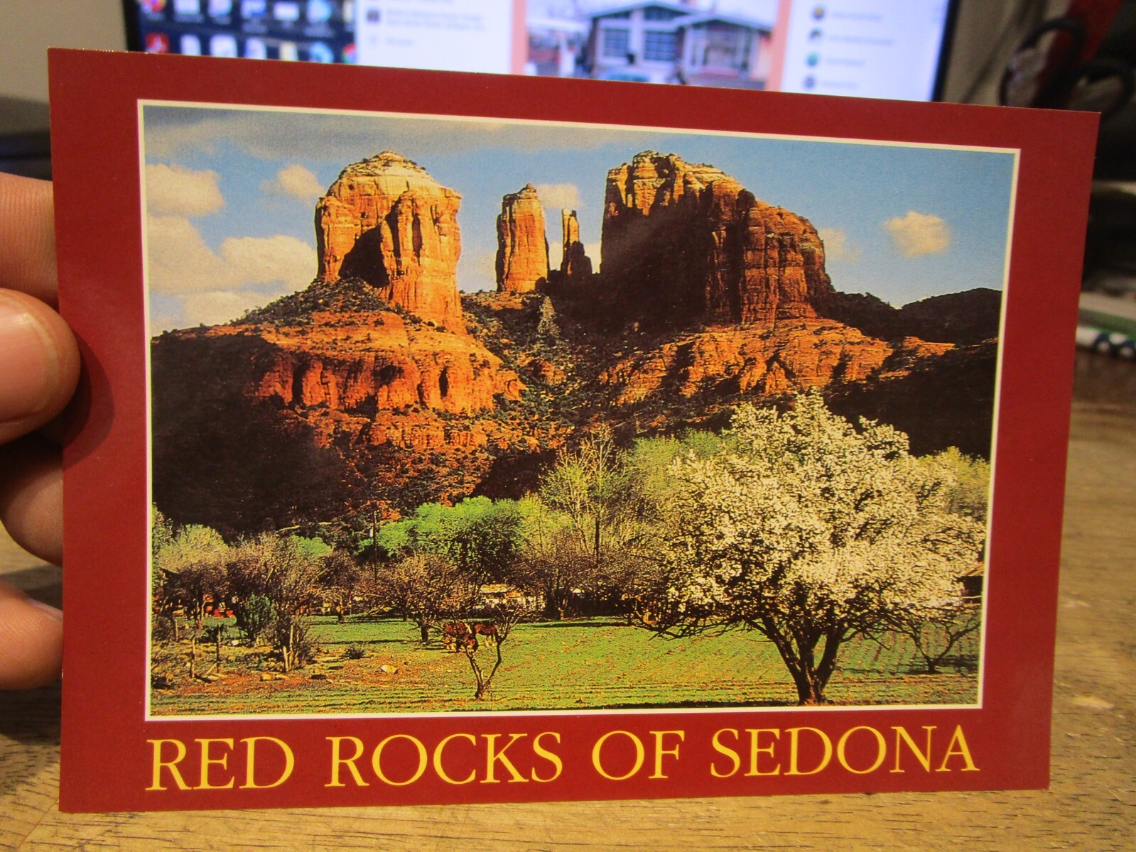 V1 ARIZONA Old Postcard Red Rock Canyon Sedona Courthouse Rock & Trees ...