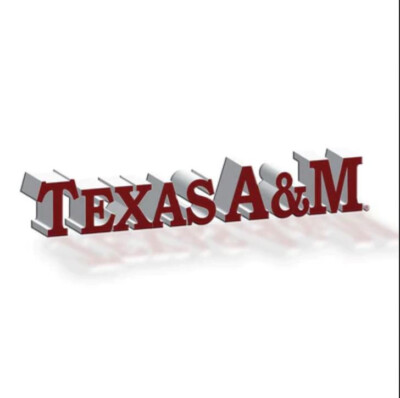 Texas A&M Aggies 3-D Word Decor Logo Sign Desk Lamp NCAA Memory Co. | eBay