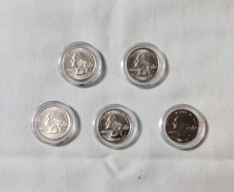 Colorized Set Of 5 State Quarters | eBay