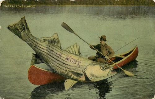 c1912 Fishing Exaggeration Postcard Ser.85, Huge 1st Fish Landed at ...