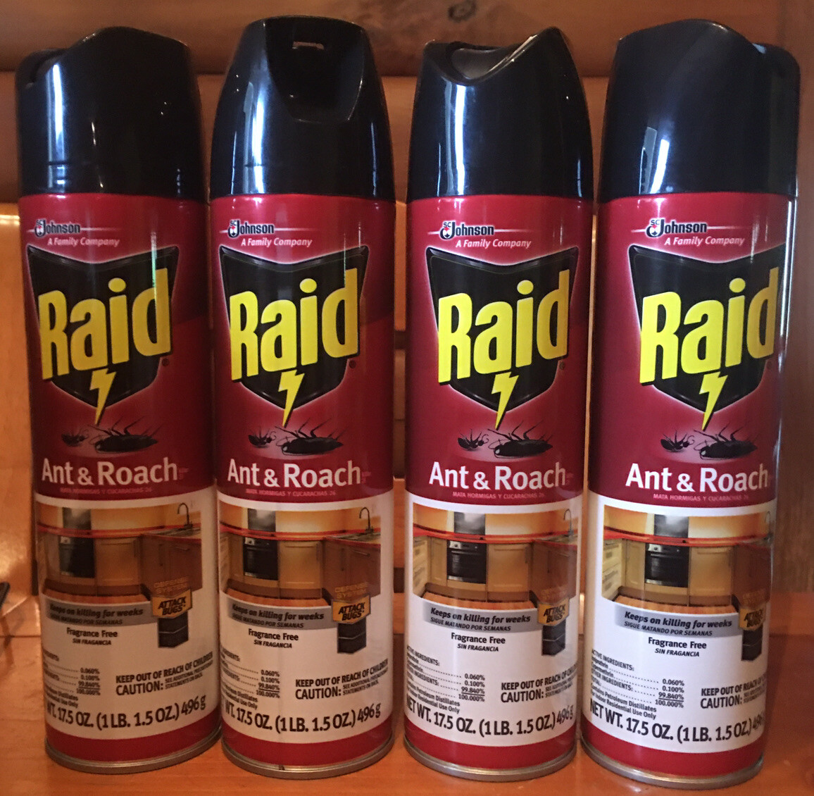 Raid Roach 4