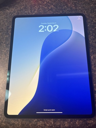 USED APPLE IPAD PRO A2925 256GB M4 CHIP 13" (QUI003827) | eBay