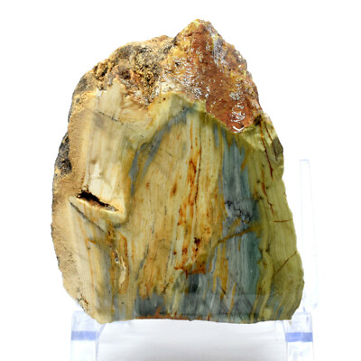 5.6" Yellow Blue Larsonite Rough Natural Fluorescent Crystal Gemstone ...