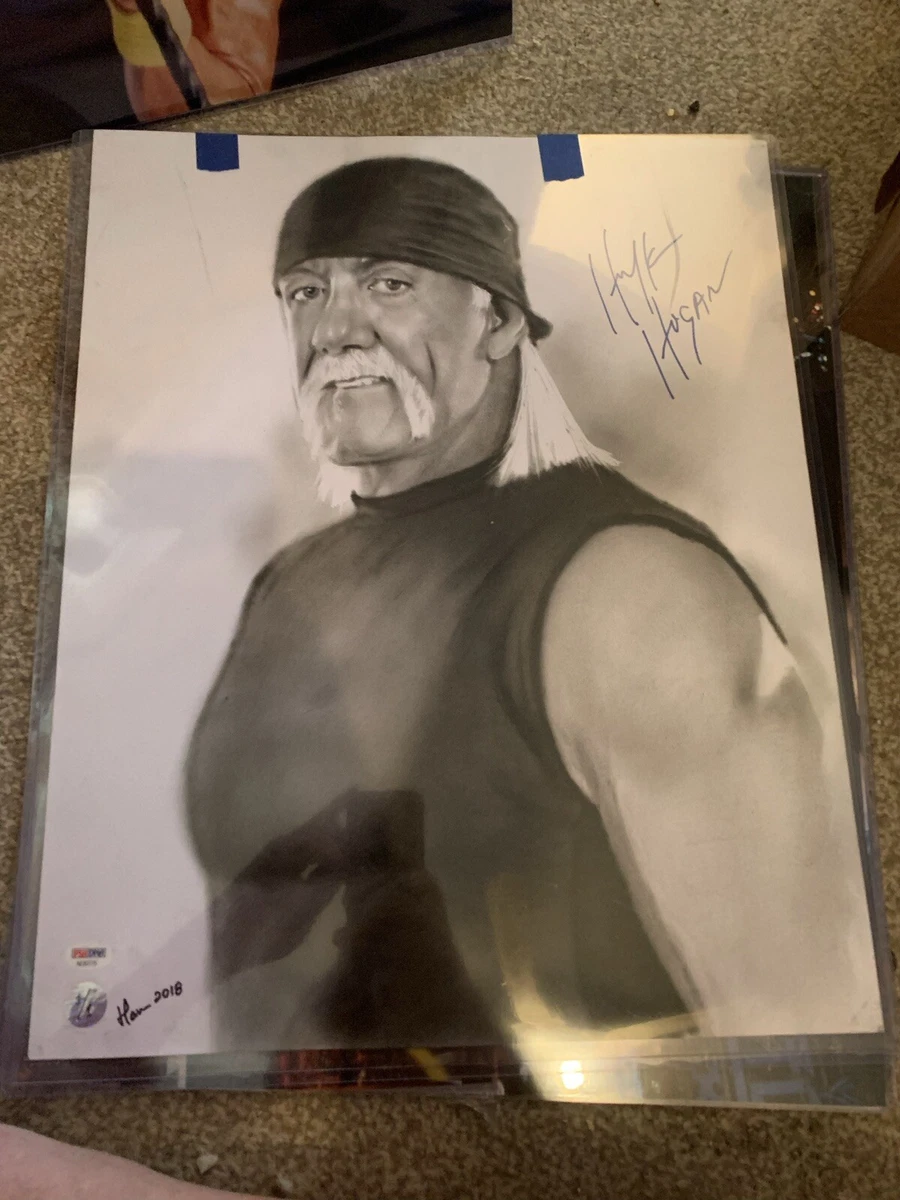 Hulk Hogan Drawing