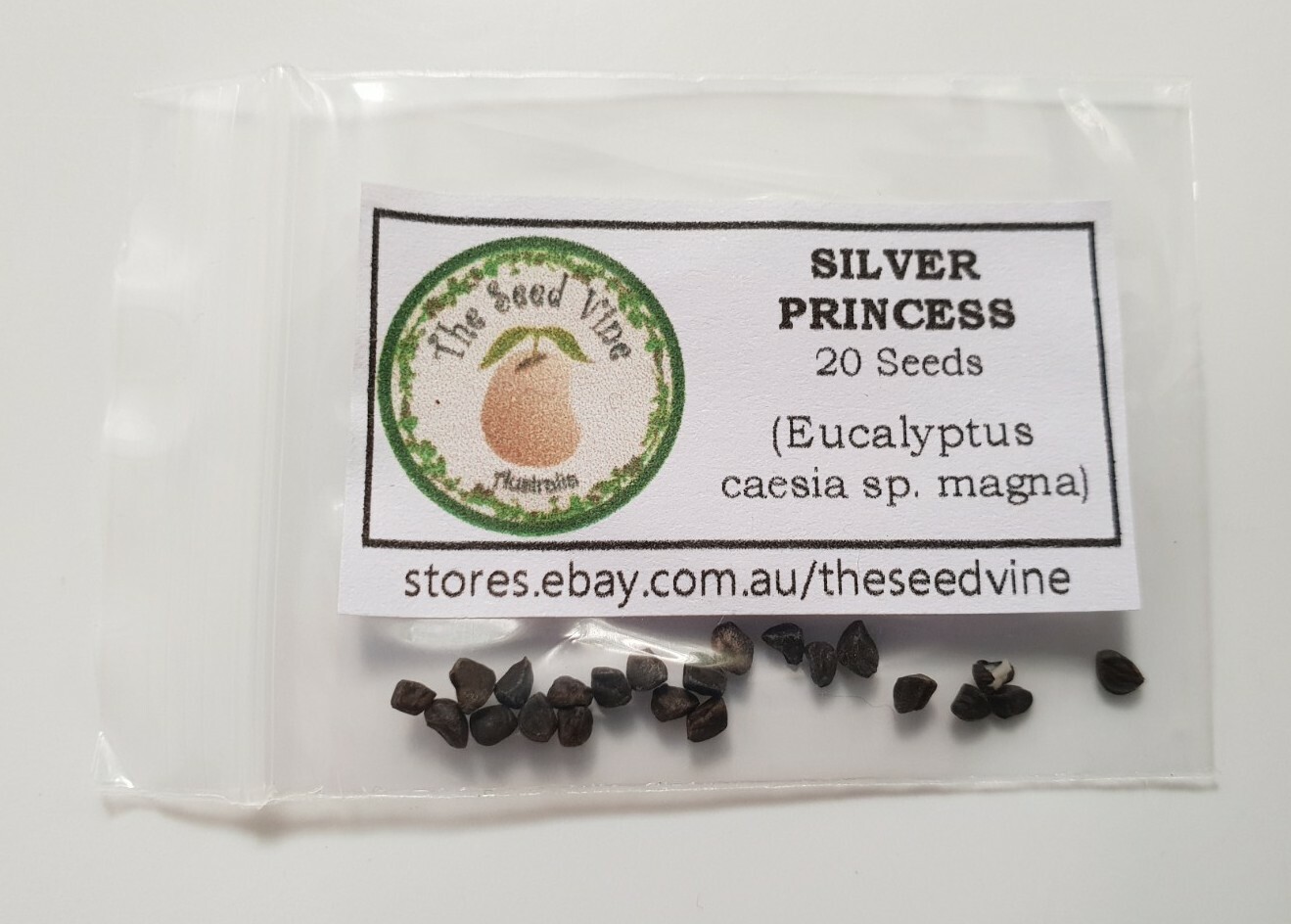50+ SILVER PRINCESS TREE SEEDS (Eucalyptus caesia magna) Native Gum ...