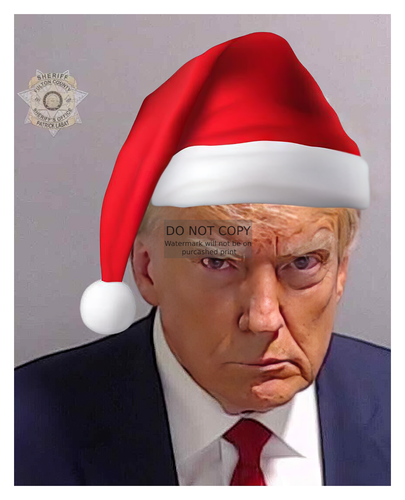 PRESIDENT DONALD TRUMP MUGSHOT CHRISTMAS HAT 8X10 DIGITALLY ENHANCED ...