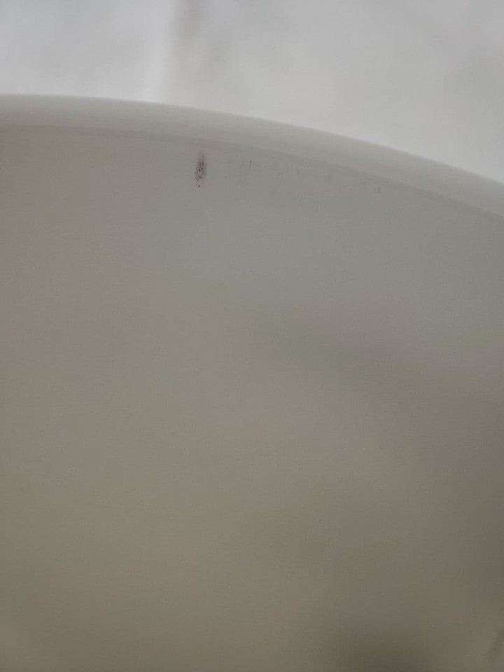 Fire King Tokyo Disney Resort Milk Glass Mugs Mickey Minnie Chip & Dale ...