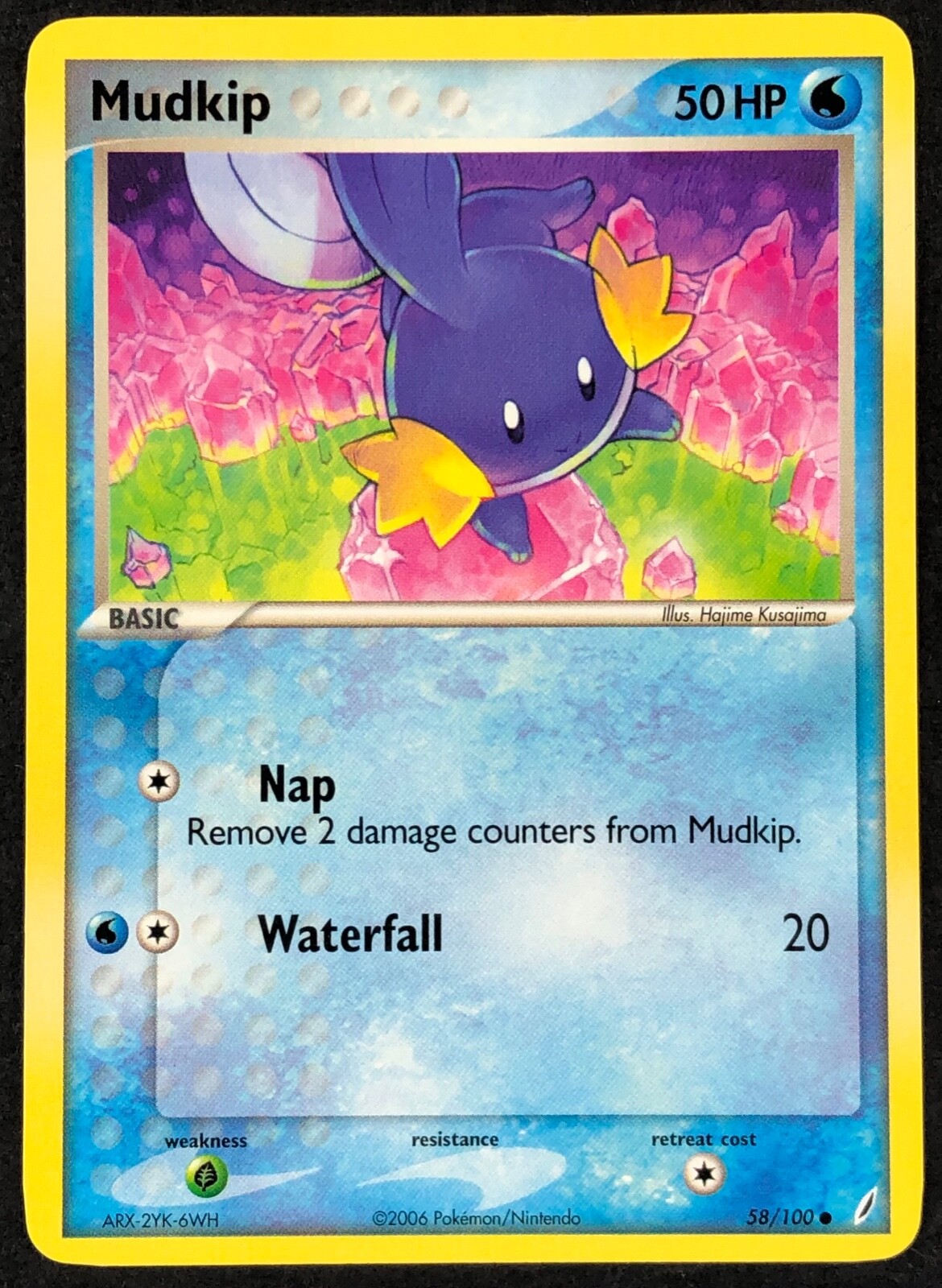 Shiny Mudkip Card