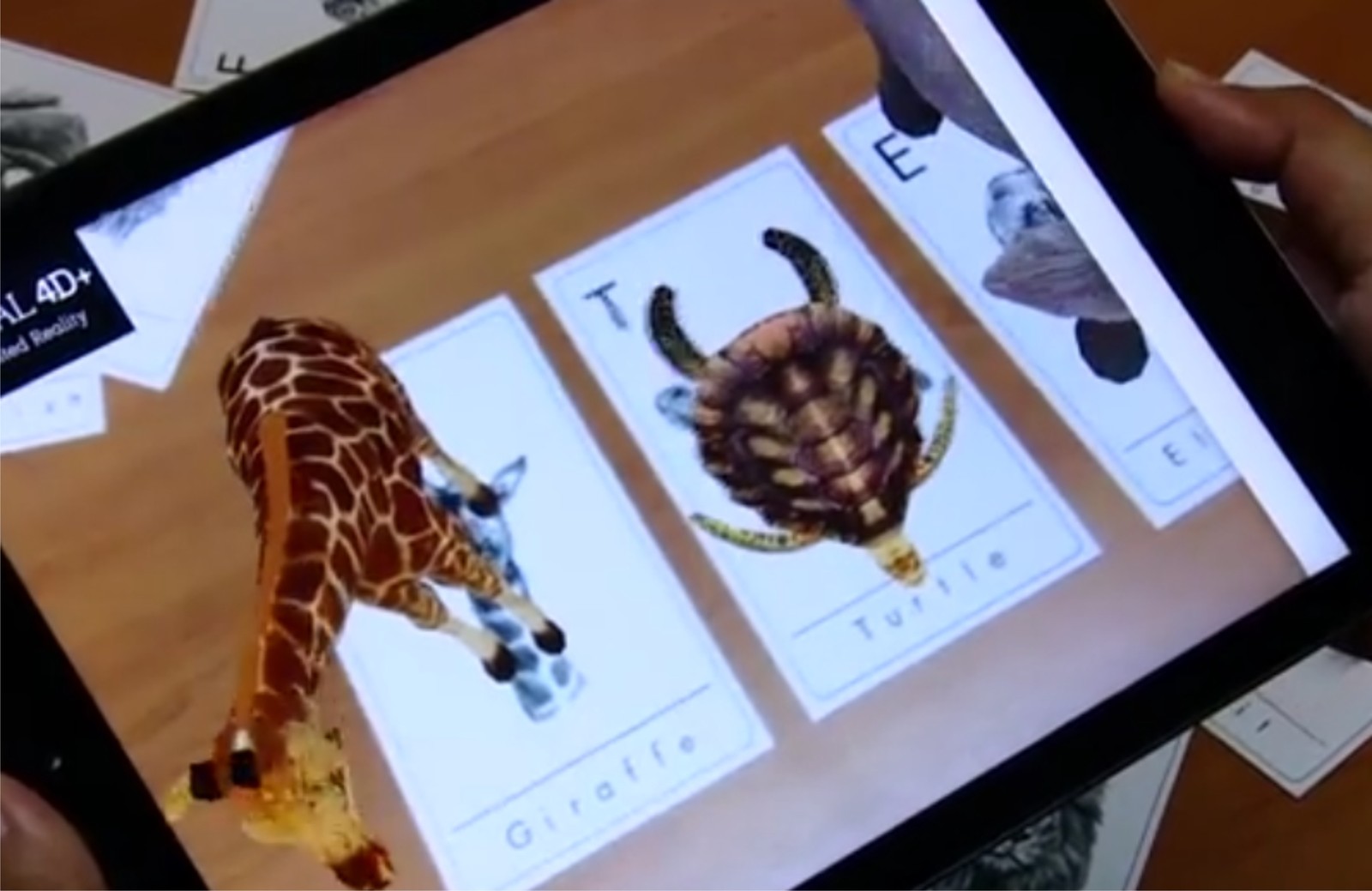 Animal 4D+ alphabet cards for kids boys & girls education with 5 food ...