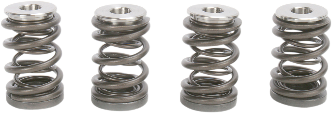 KW Ti Intake Exhaust Valve Spring Kit for KTM 400 SX 00-02 | eBay