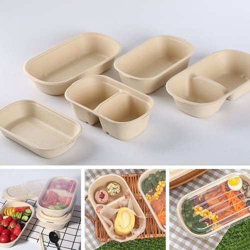 Paper Disposable Packing Degradable Paper Pulp Lunch Box Light Food Box ...
