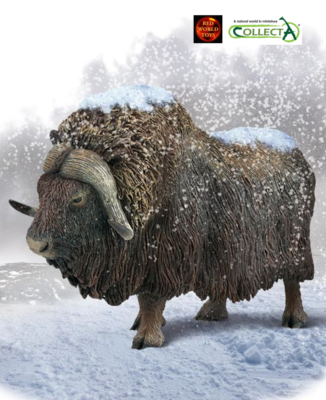 Musk Ox North American Wildlife Toy Model Figure by CollectA 88837 ...