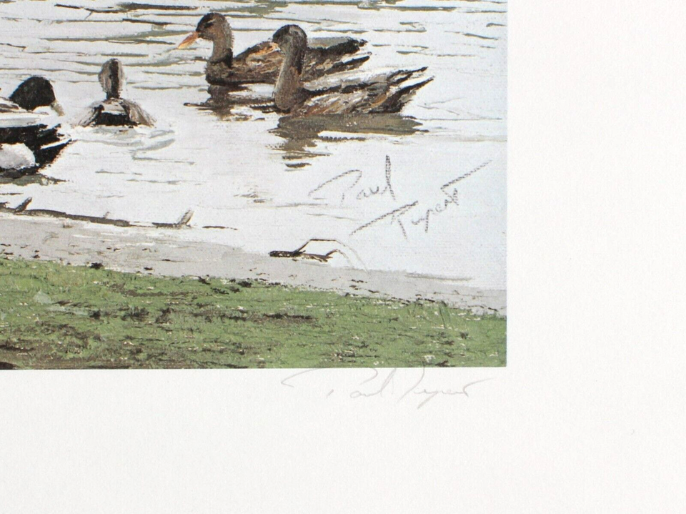Paul Rupert Hand Signed Numbered Limited Edition Autumn Feeders Ducks ...