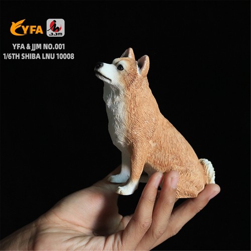 JJM 1/6 Japanese Shiba Inu Dog Akita Dog Pet Figure Animal Decor Model ...