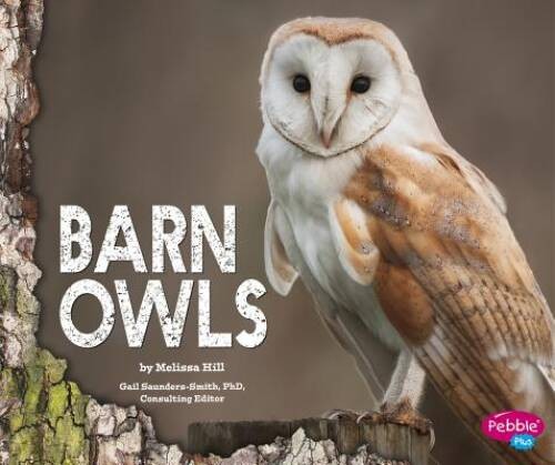 Barn Owls - Library Binding By Hill, Melissa - GOOD 9781491460450| eBay