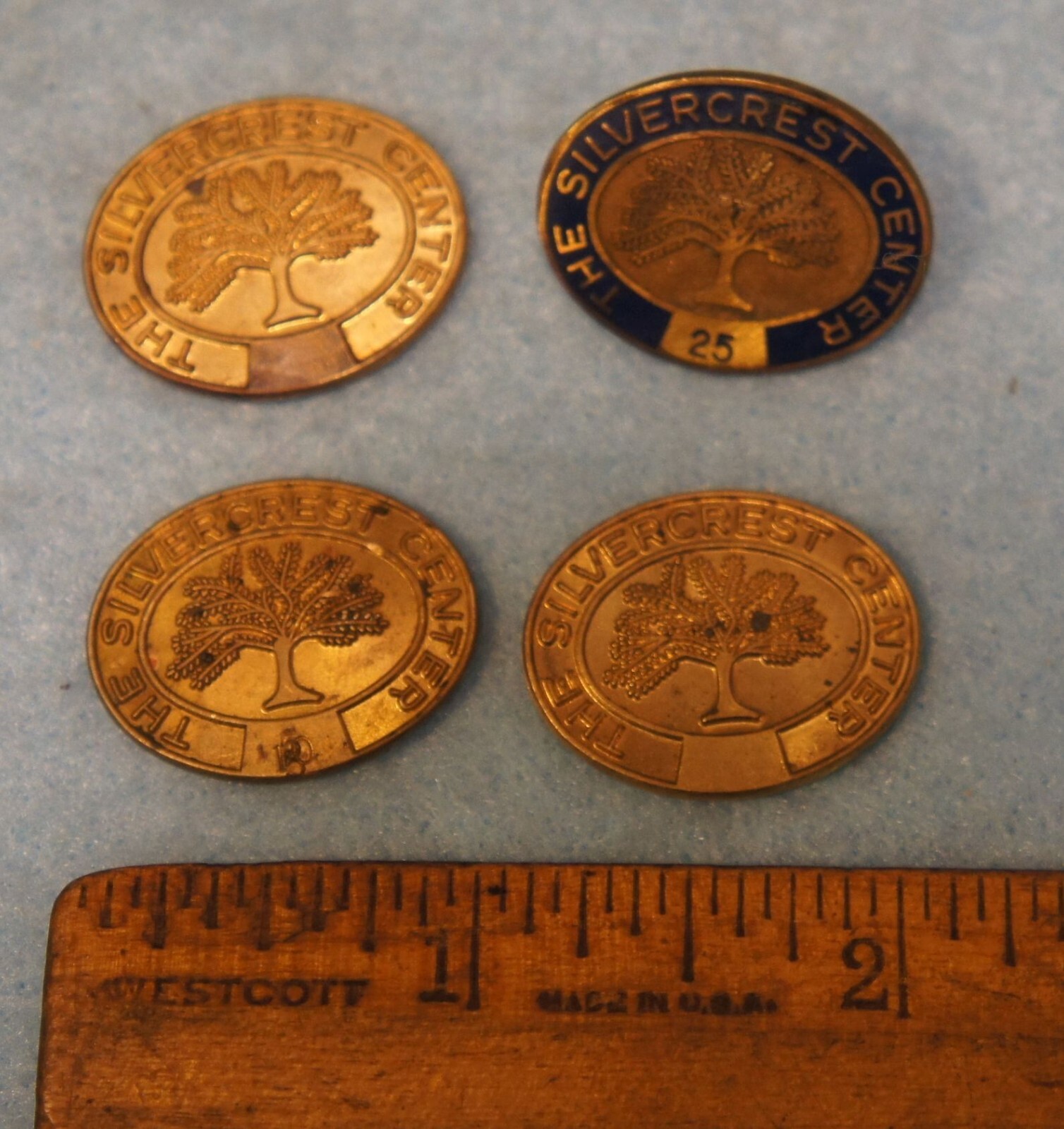 QUEENS NY *THE SILVERCREST CENTER Employee Service Pin STEEL STAMPING ...