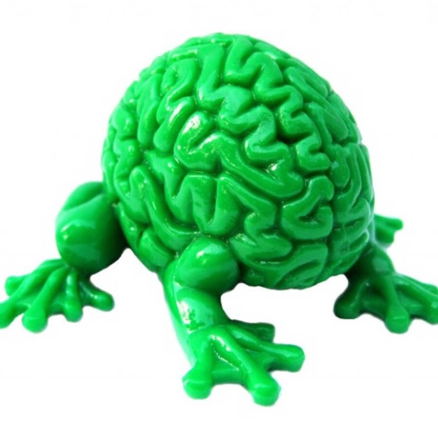 500g (1.1lbs) BIOHOME ULTIMATE FILTER MEDIA - BEST FILTER MEDIA EVER ...