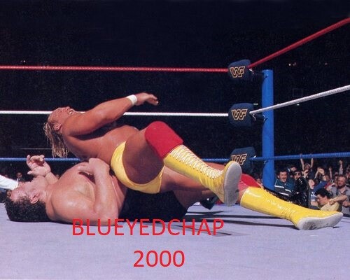 HULK HOGAN PINS ANDRE THE GIANT WRESTLER 8X10 WRESTLING PHOTO WWF WCW ...