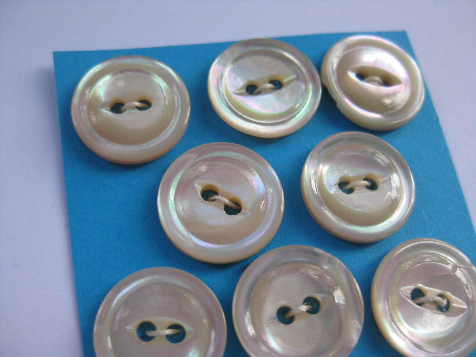 14.5mm Small Shell Iridescent PinkChampagne Cats Eye SecondsSewing ...