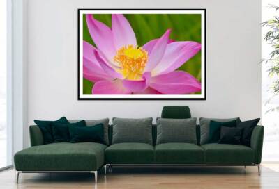 Lotus Flower Print Premium Poster High Quality choose sizes | eBay ...