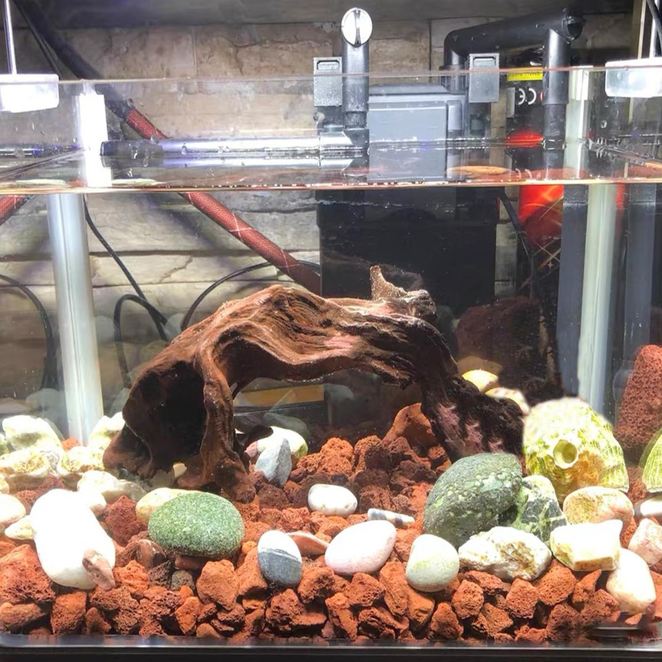 10 Pack Aquarium Red Lava Rock Fish Tank Volcanic Pumice Stones for ...