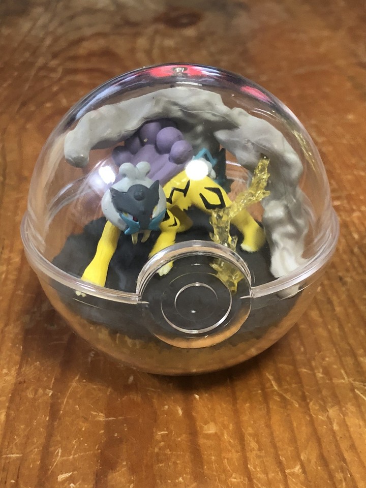 Raikou Pokemon Re-Ment Terrarium Pokeball Collection Figure Toy Japan ...