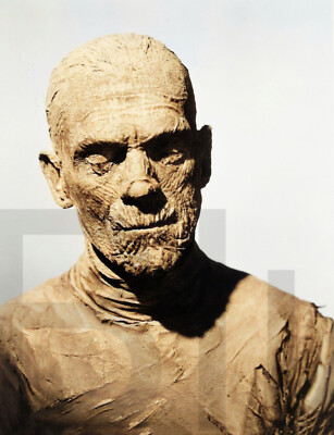 1932 Boris Karloff as The Mummy Universal 11 x 14" Photo Print | eBay