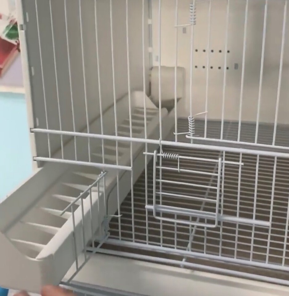 90cm 35" Plastic Double Breeding Cage & Divider 2GR- Budgie Canary ...