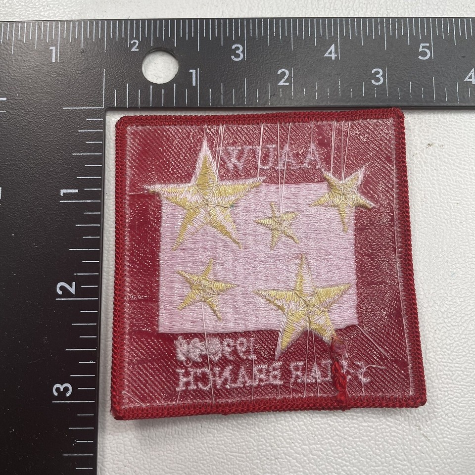 1998-1999 AAUW 5 STAR BRANCH Patch (American Assoc. Of University Women ...