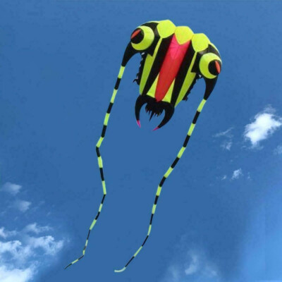 3D 7square meters large trilobite kite parafoil beach kite adult ...