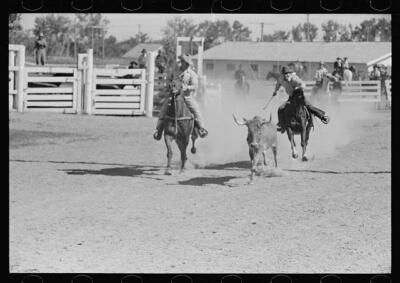 Bulldogging rodeo Miles City Montana 1930s Historic Old Photo 5 | eBay