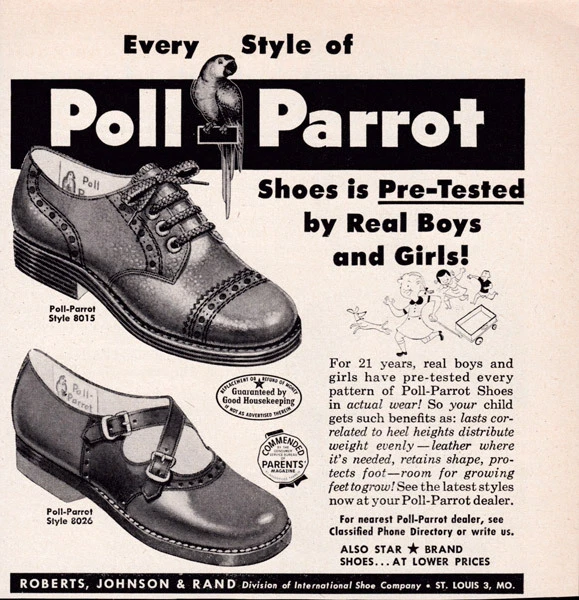 Paul Parrot Shoes