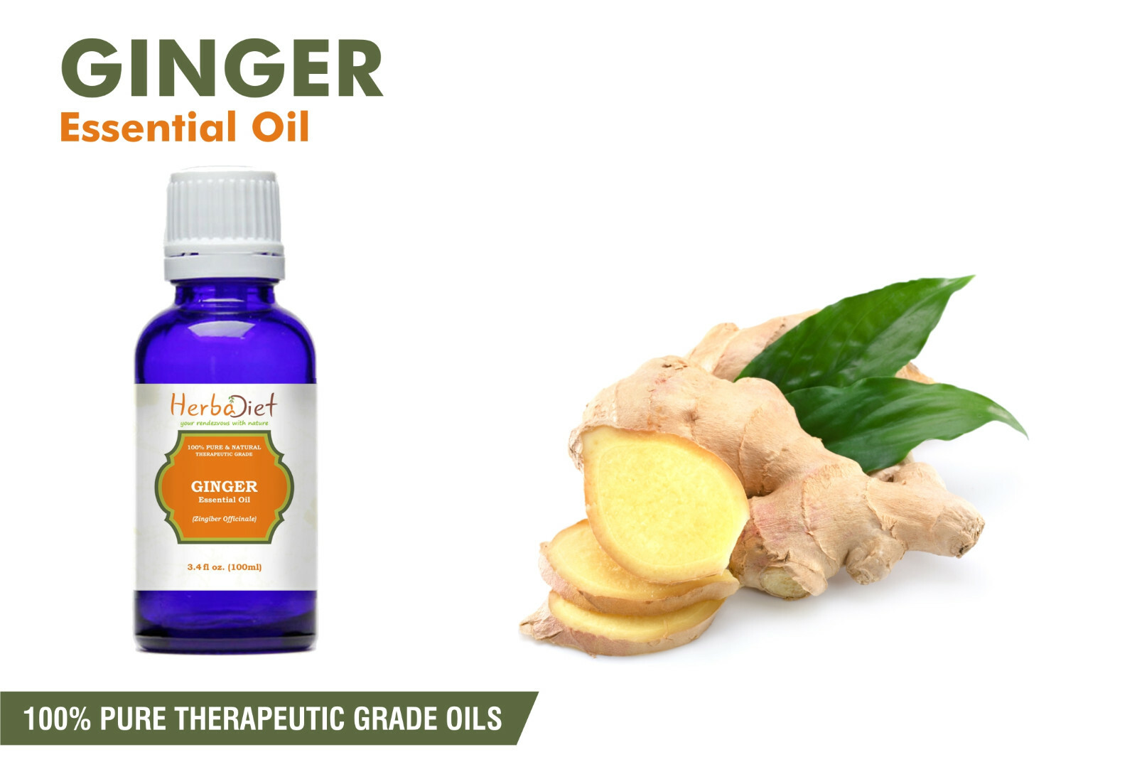 Ginger Essential Oil 100% Pure Natural PREMIUM Therapeutic Grade Oils ...