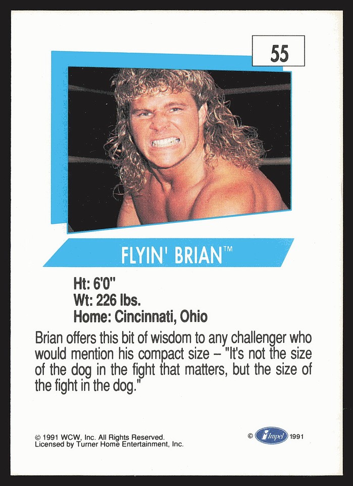 1991 Impel WCW #55 Flyin' Brian RC | eBay