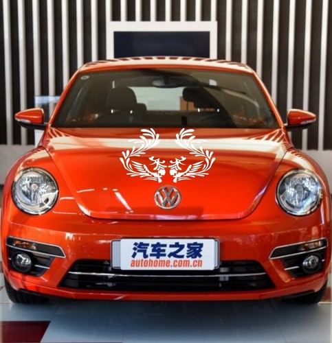 Car Decals Flying Phoenix Flames 15''x20'' For Beetle Vinyl Hood ...