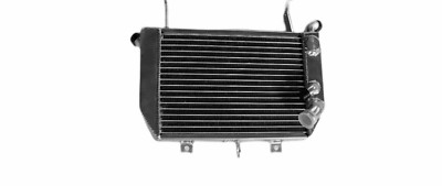 Aluminum Radiator For Suzuki TL1000R TL-R 1000 TL 1000 R 1998-2003 | eBay