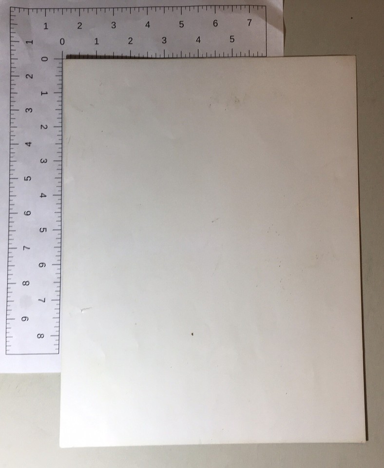 Jay Siegel & The Tokens Signed Photo Color Doo -Wop Band Brooklyn NY | eBay