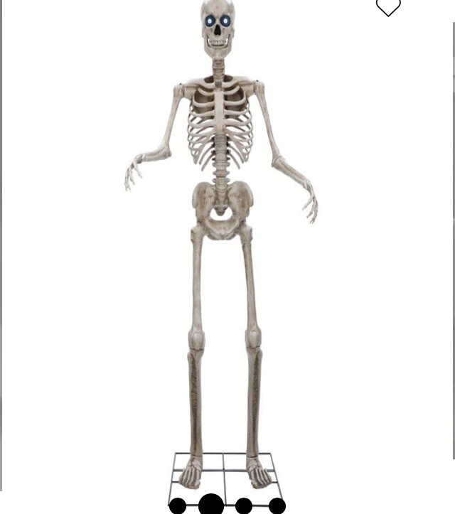 Moving Skeleton Animation