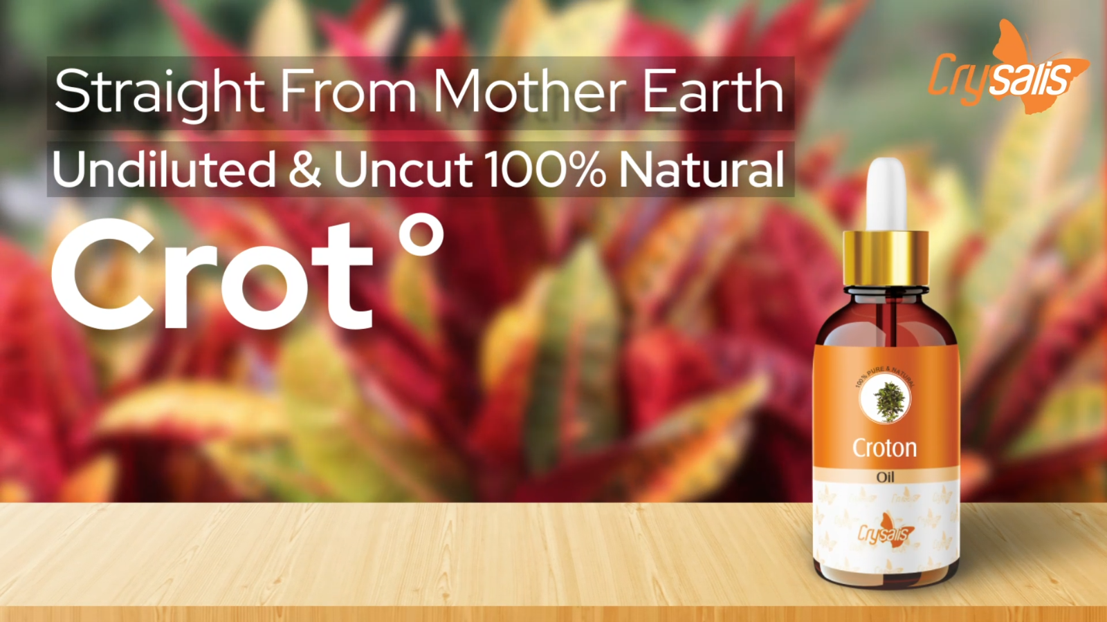 Croton {Croton Tiglium} | 100% Pure & Natural Essential Oil | 15ml ...