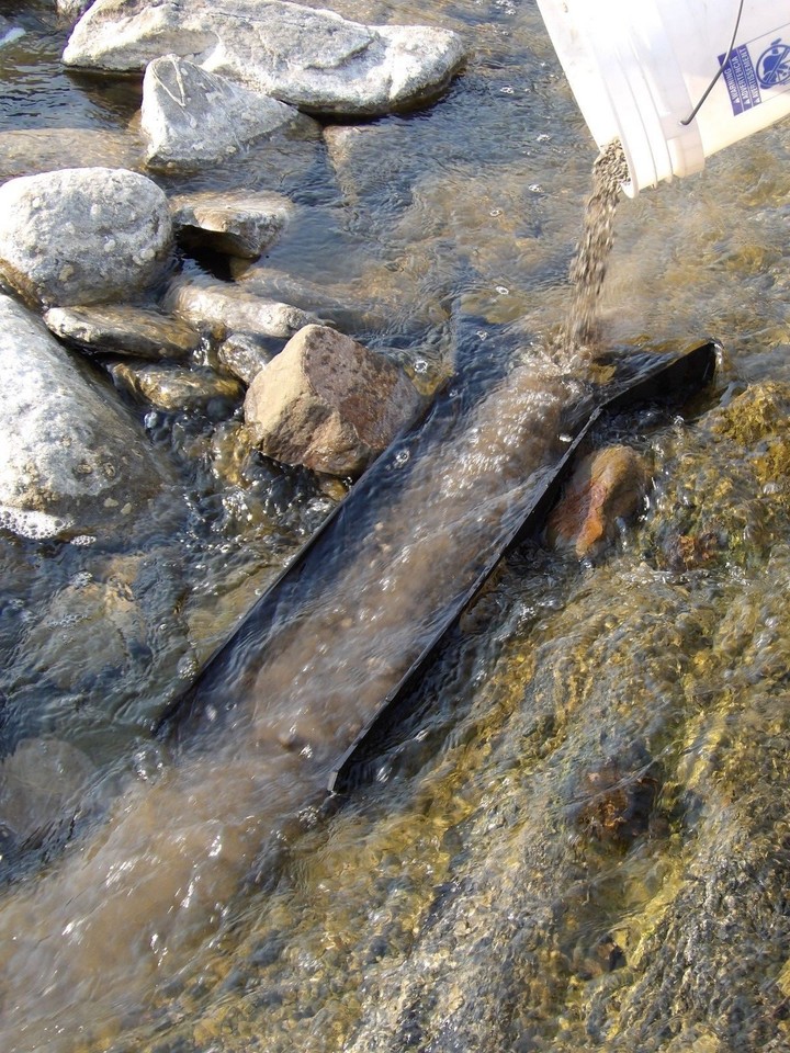 E-Z SLUICE BOX WITH FLARE OVER 45,000 SOLD LIGHT WEIGHT SLUICE GOLD ...