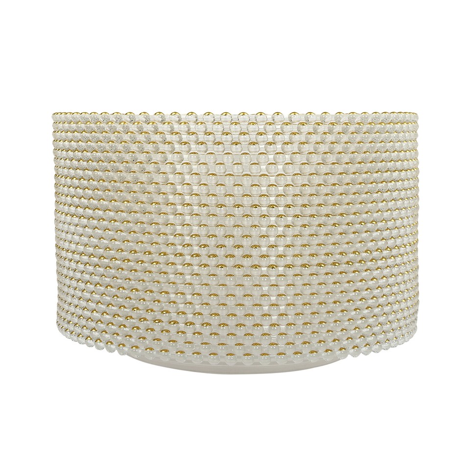 25 Packaged Western Food Plates 32cm Plastic With Transparent Gold ...