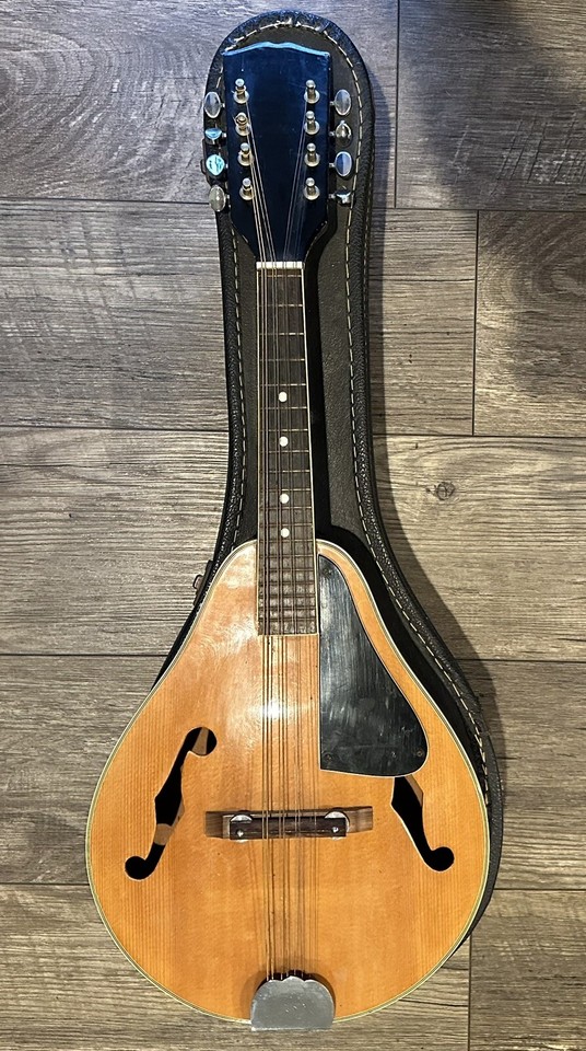 Vintage Gibson Style F Hole Mandolin & Case | eBay