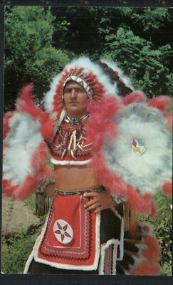 CHEROKEE, NC * CHIEF HENRY ~ CHEROKEE INDIAN RESERVATION * UNPOSTED ...