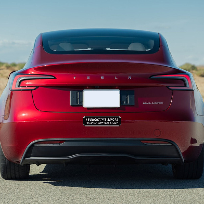 I Bought This Before We Knew Elon Was Crazy Vinyl Decal Car Bumper ...