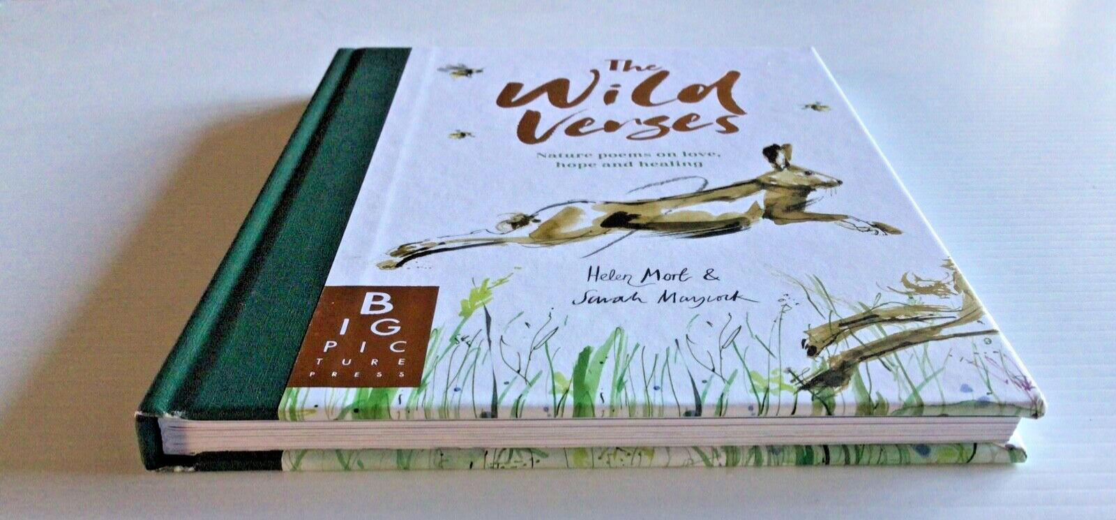 The Wild Verses: Natur poems on love, hope and healing | eBay Australia