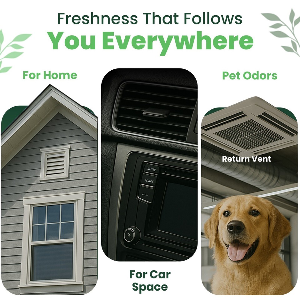 Air Deodorizer for HVAC System Fogger Mold Odor Treatment for Car ...