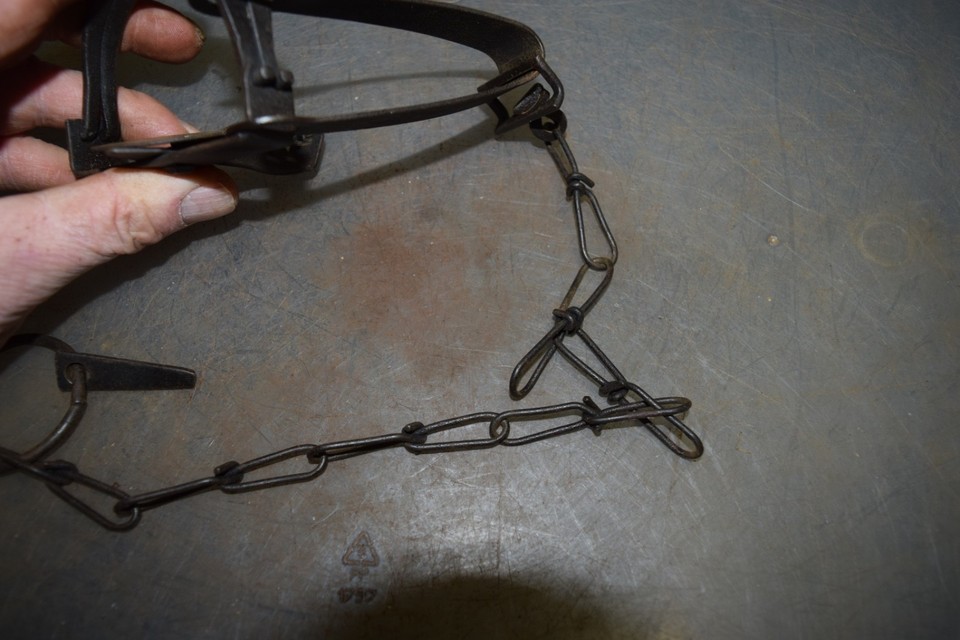 VTG. TRIUMPH #0 SINGLE SPRING TRAP TRAPPING VICTOR SARGENT | eBay