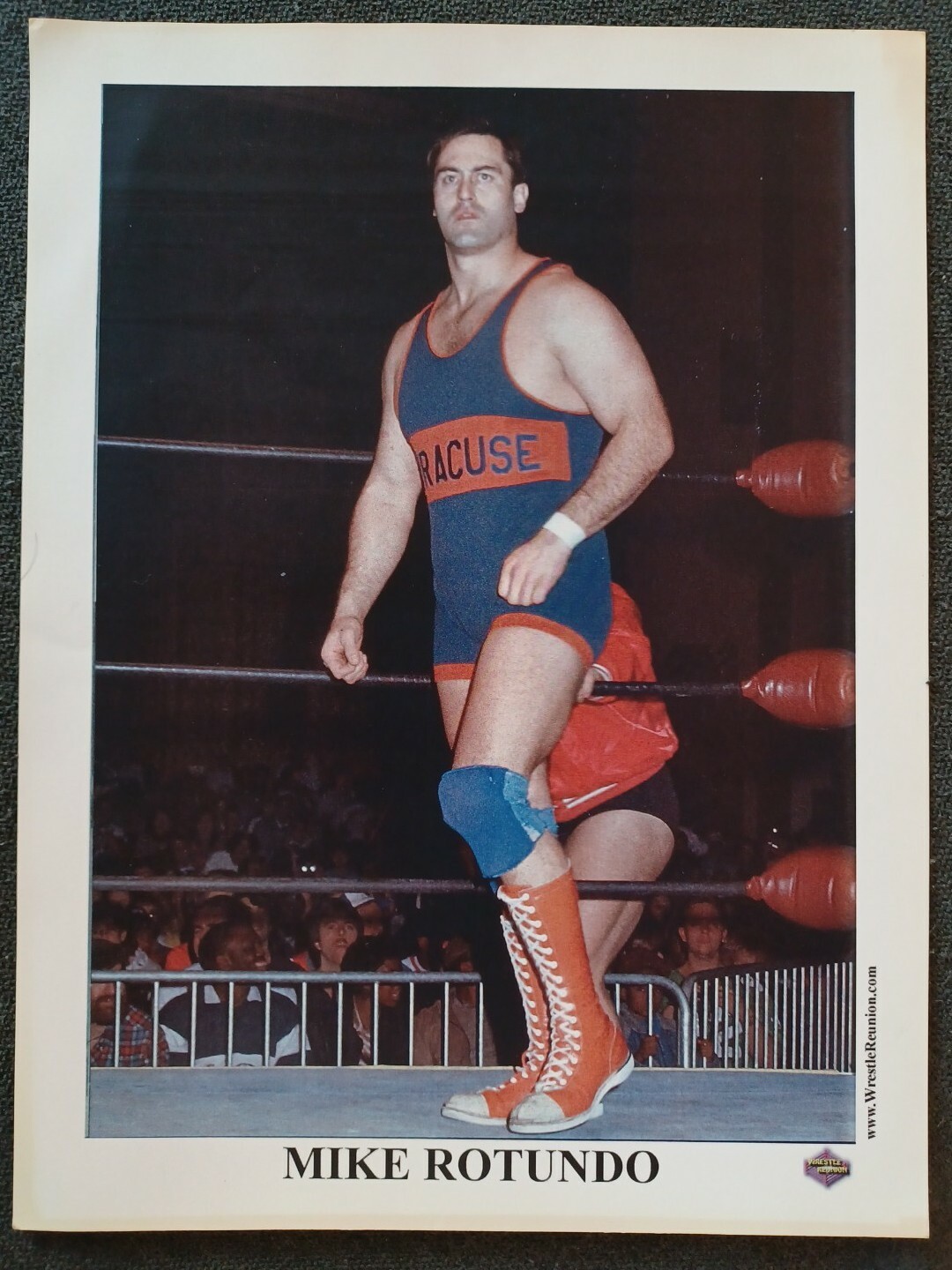 Wwe Mike Rotundo