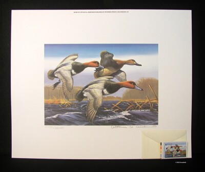 1987-1988 Federal Duck Stamp Print by Arthur G. Anderson w/Signed Duck ...